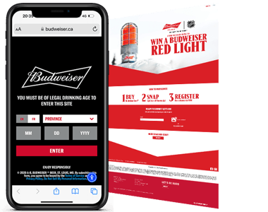 Alcohol Marketing Strategies and Alcohol Marketing Examples